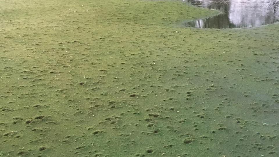 Hailstorm Damages Golf Course Near Nebraska Capital | Golf Industry ...
