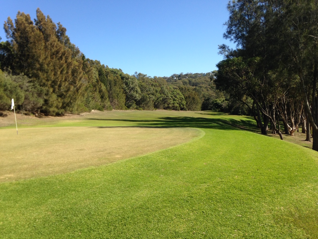 Golf Greens | Golf Industry Central