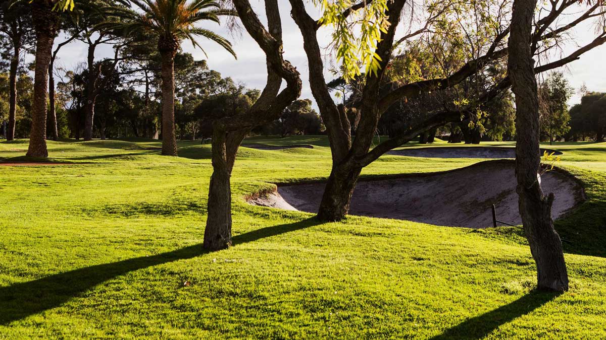 Royal-Perth-Golf-Club-at-Centre-of-Tree-Removal-and-Heritage-Protection ...
